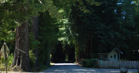 County Scraps Wonder Stump Road Changes Following International Public ...