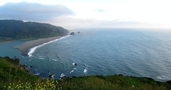 Ninth Circuit Court of Appeals Ruling Does Not Protect Resighini ...