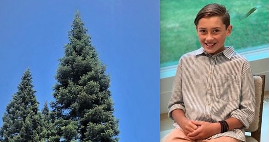 Del Norte 5th Grader Selected as Official Tree Lighter for This Year's ...