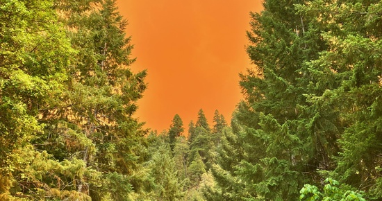 Over 908 Firefighters, Including Locals, Are Fighting 15,217 Acre Flat ...
