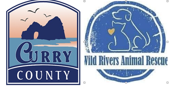 Curry County, Gold Beach Animal Rescue In Dispute Over Impound Services ...